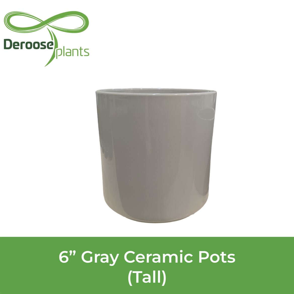 6" Gray Ceramic Pots (tall) – Deroose Plants USA