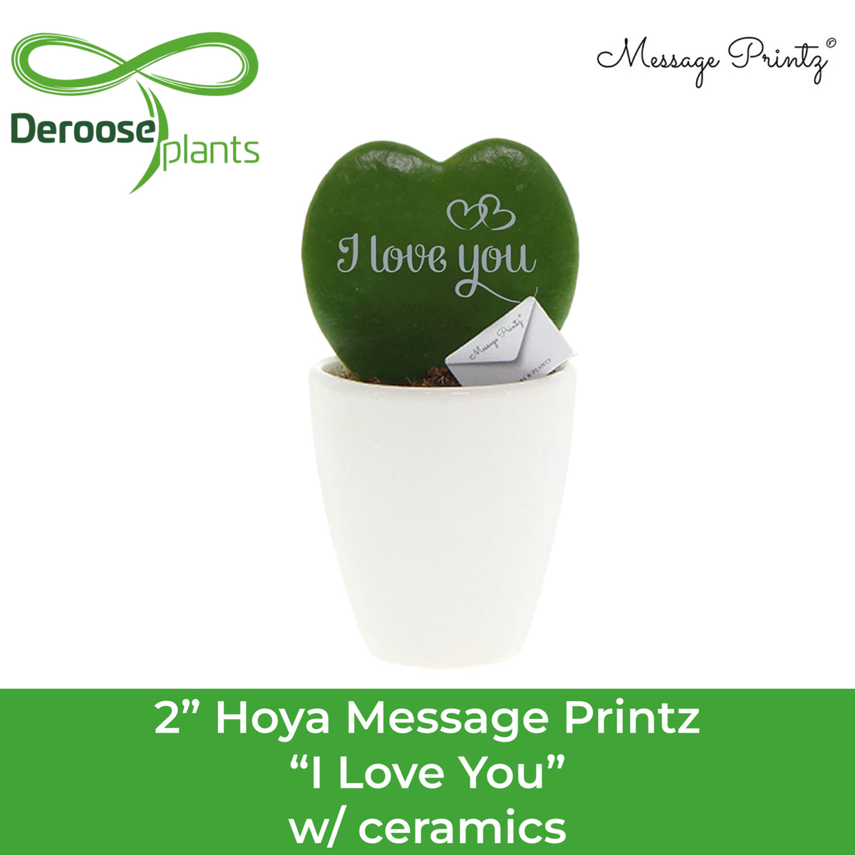 Products – Deroose Plants USA