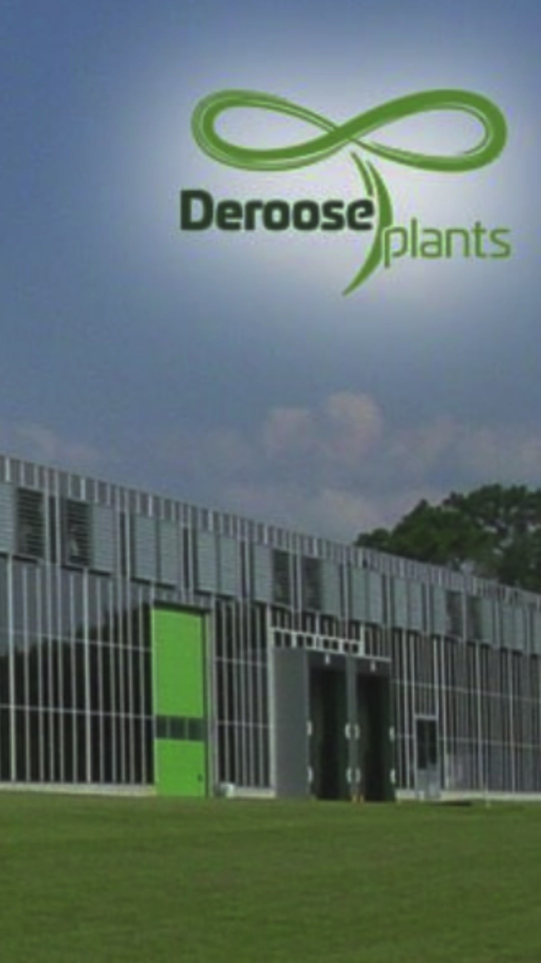 Deroose Plants USA